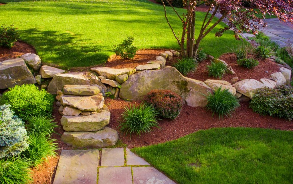 About Smith Tree Landscaping | Trusted Tree & Landscape Experts